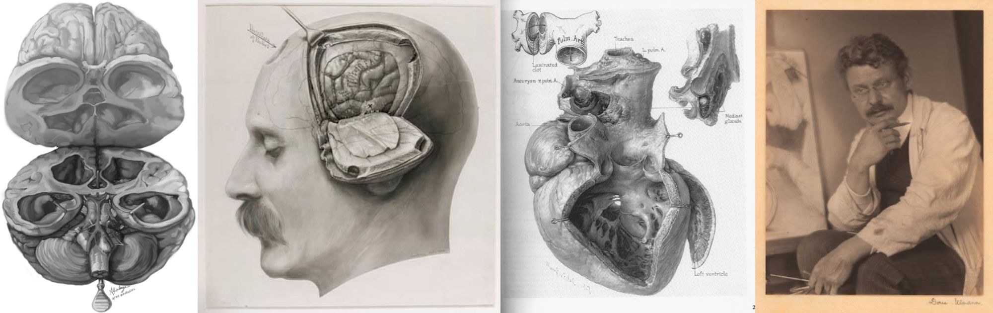 8 Inspiring Medical and Scientific Artists | Domestika