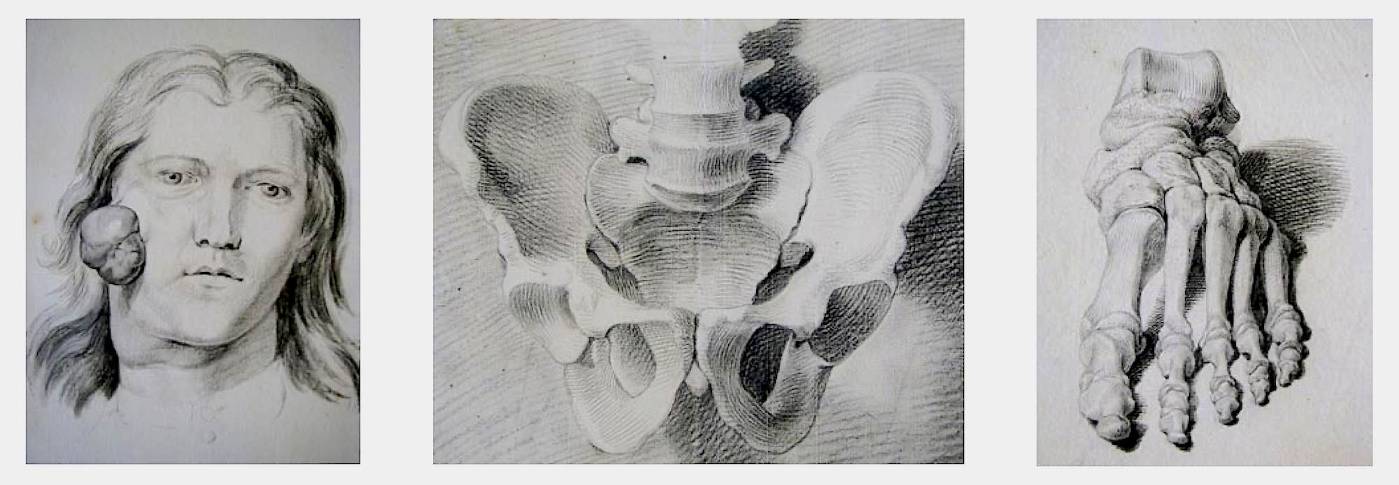 8 Inspiring Medical and Scientific Artists | Domestika