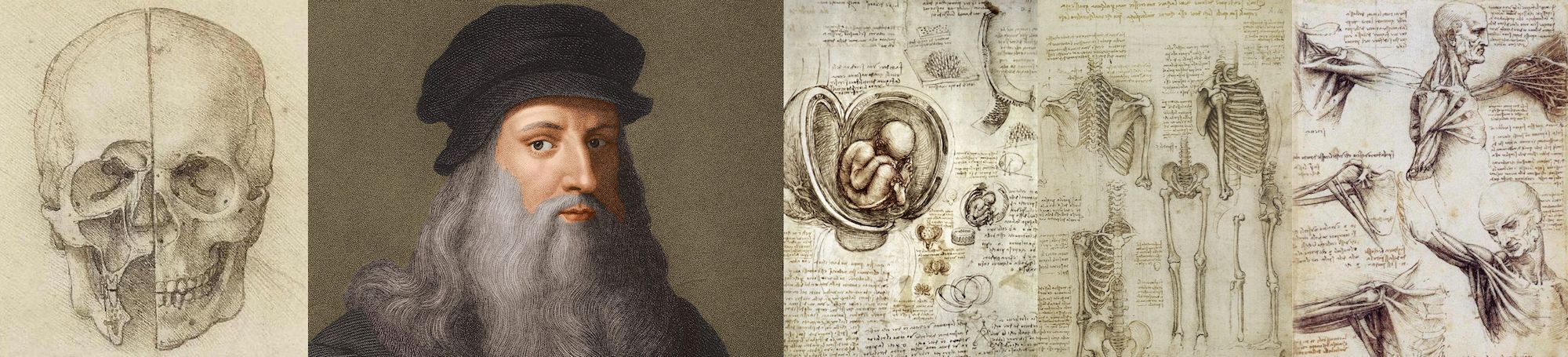 8 Inspiring Medical and Scientific Artists | Domestika