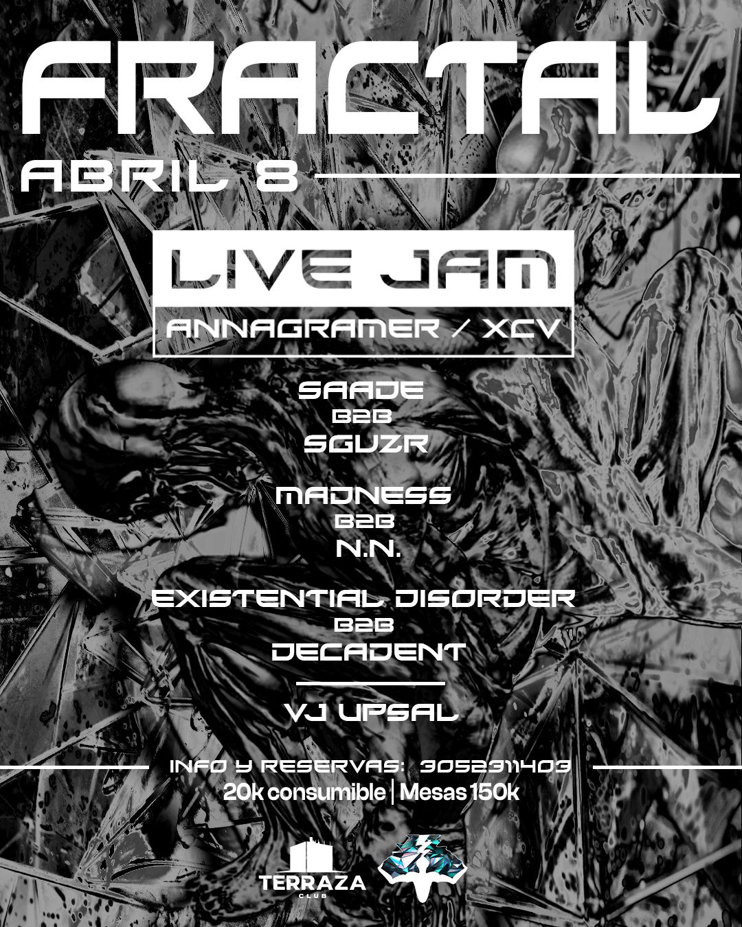 Fractal Flyer and Reel | Domestika