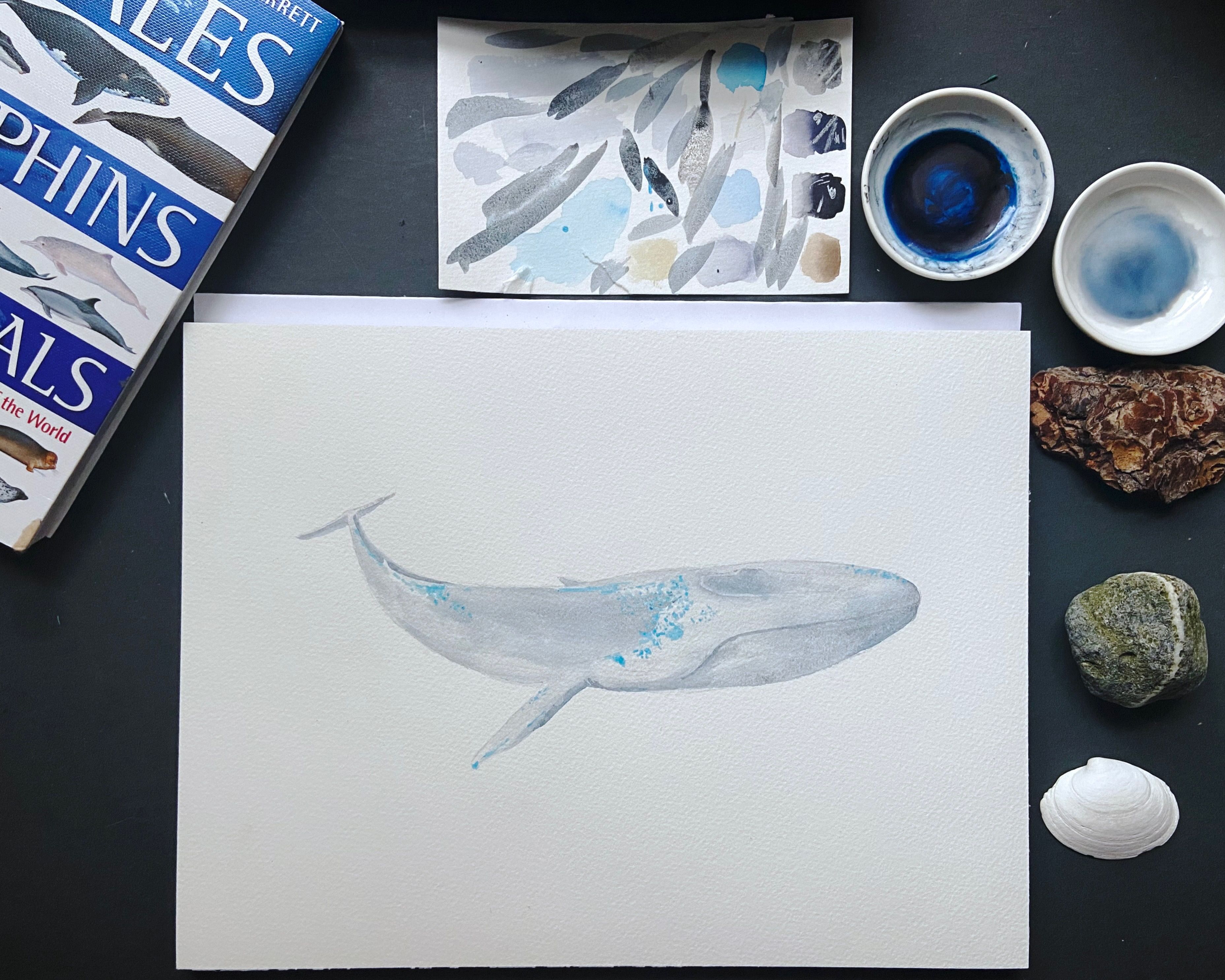 My project for course: Naturalist Illustration Techniques: Whales in ...