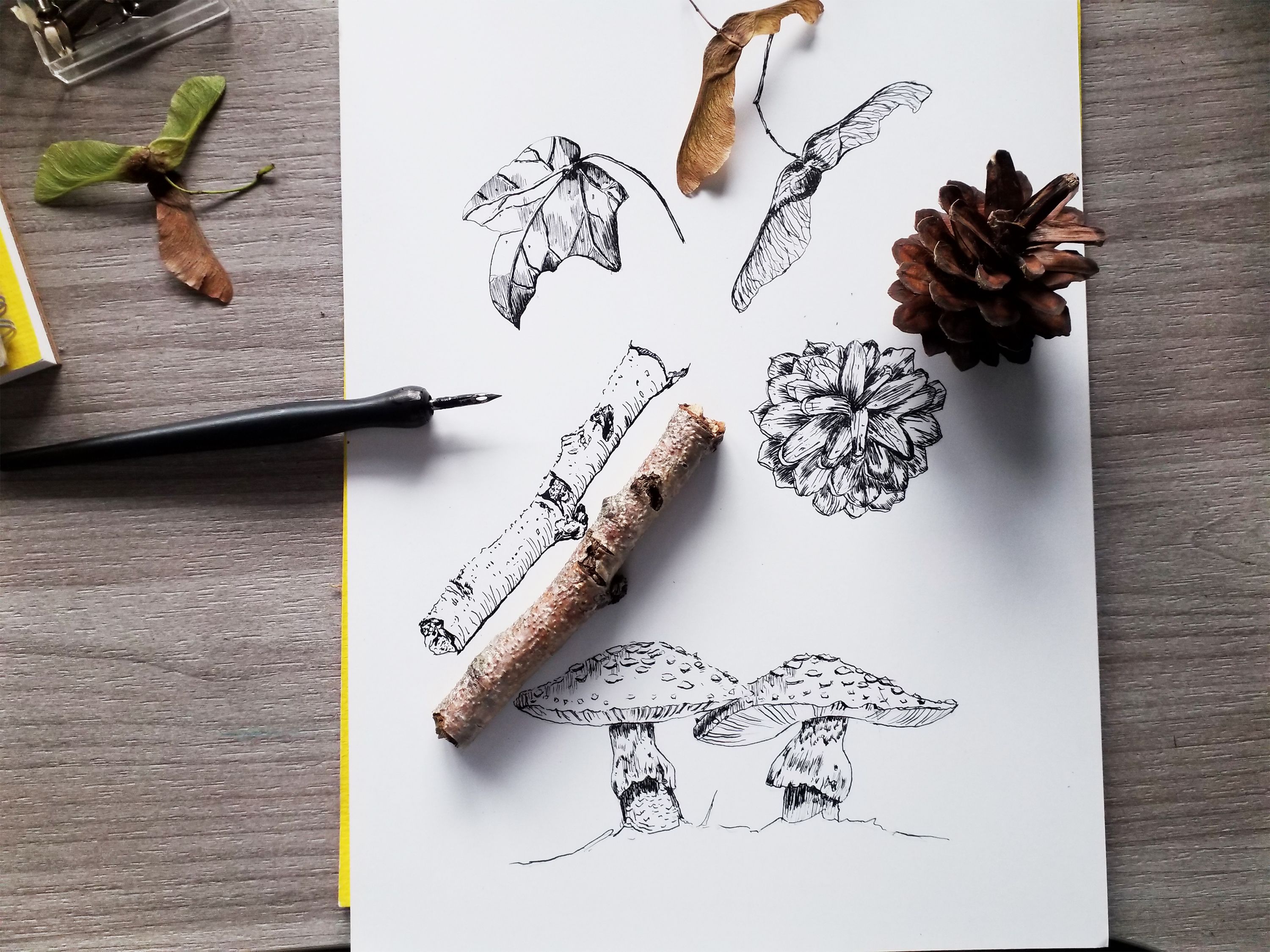 My project for course: Dip Pen and Ink Illustration: Capturing The ...