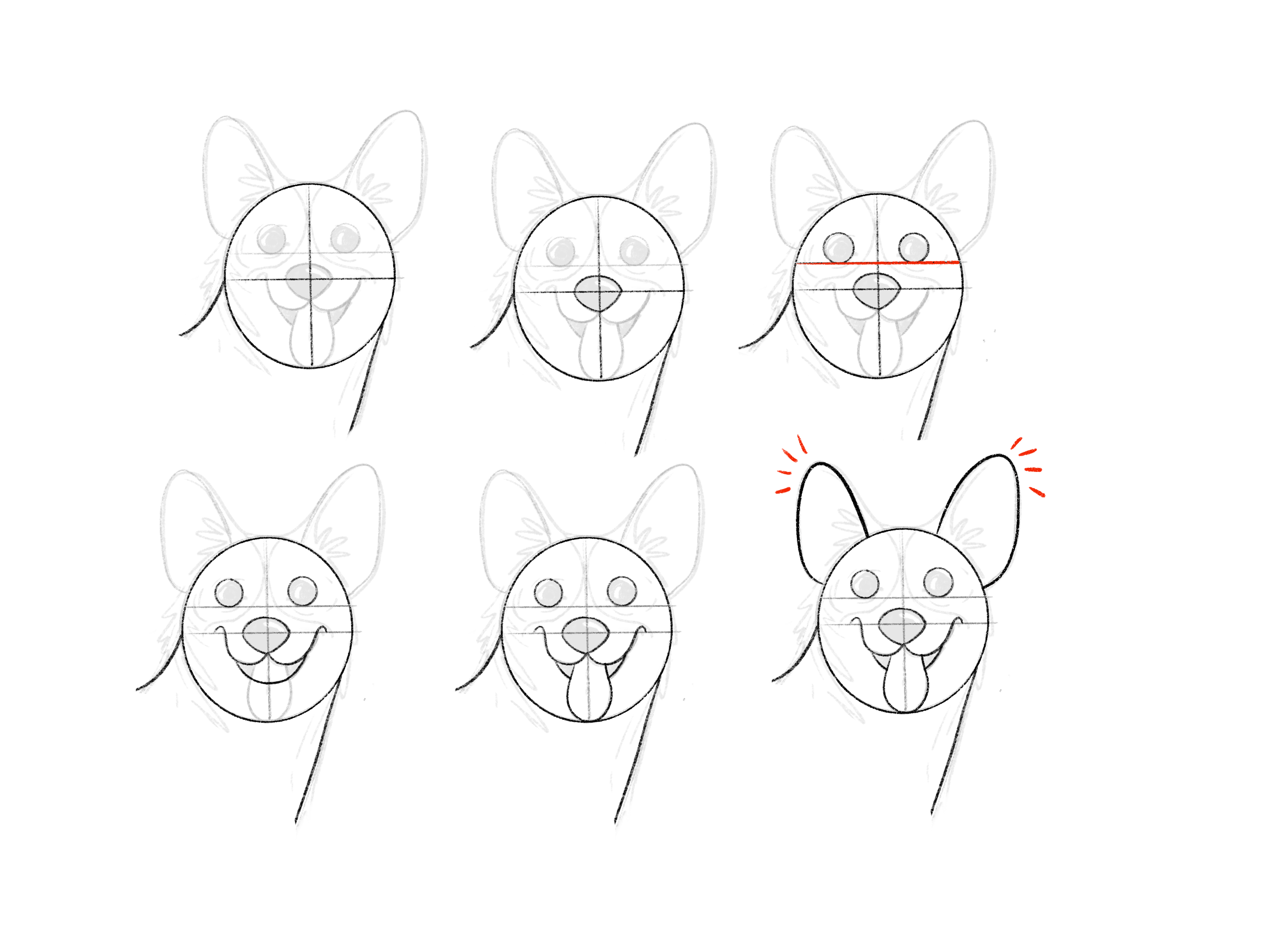 Downloadable tutorial: How to Draw a Corgi Step by Step | Domestika