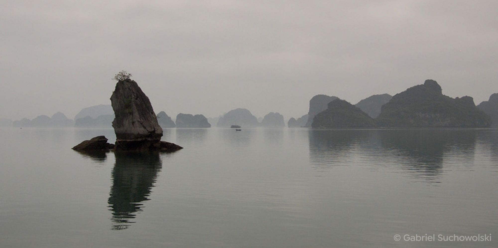 Cómo escribir poemas haiku con ejemplos | Domestika