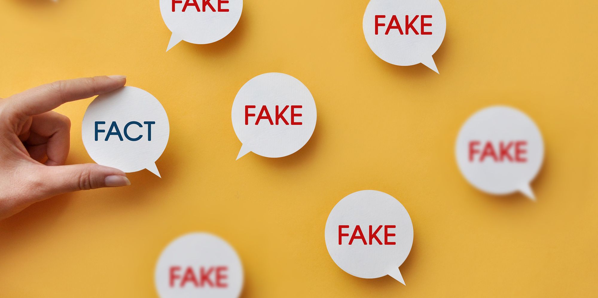 Conoce 10 tipos de falacias lógicas y argumentativas | Domestika