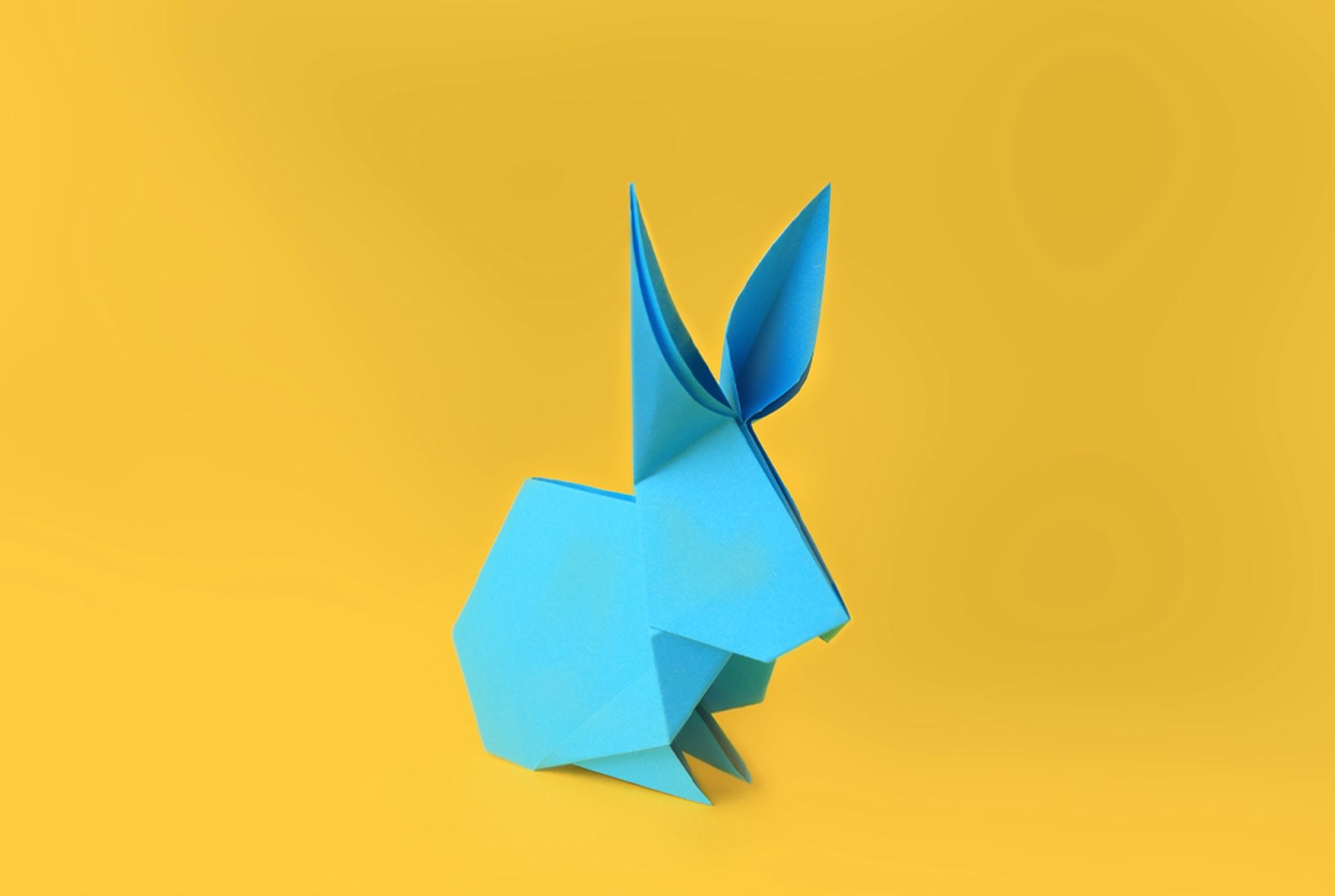 How to Make Origami Animals Step by Step | Domestika