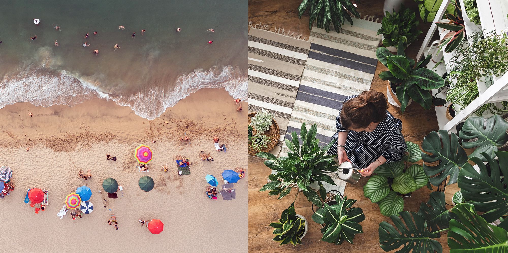 Los tipos de ángulos en fotografía: guía a fondo para conocer cómo ...