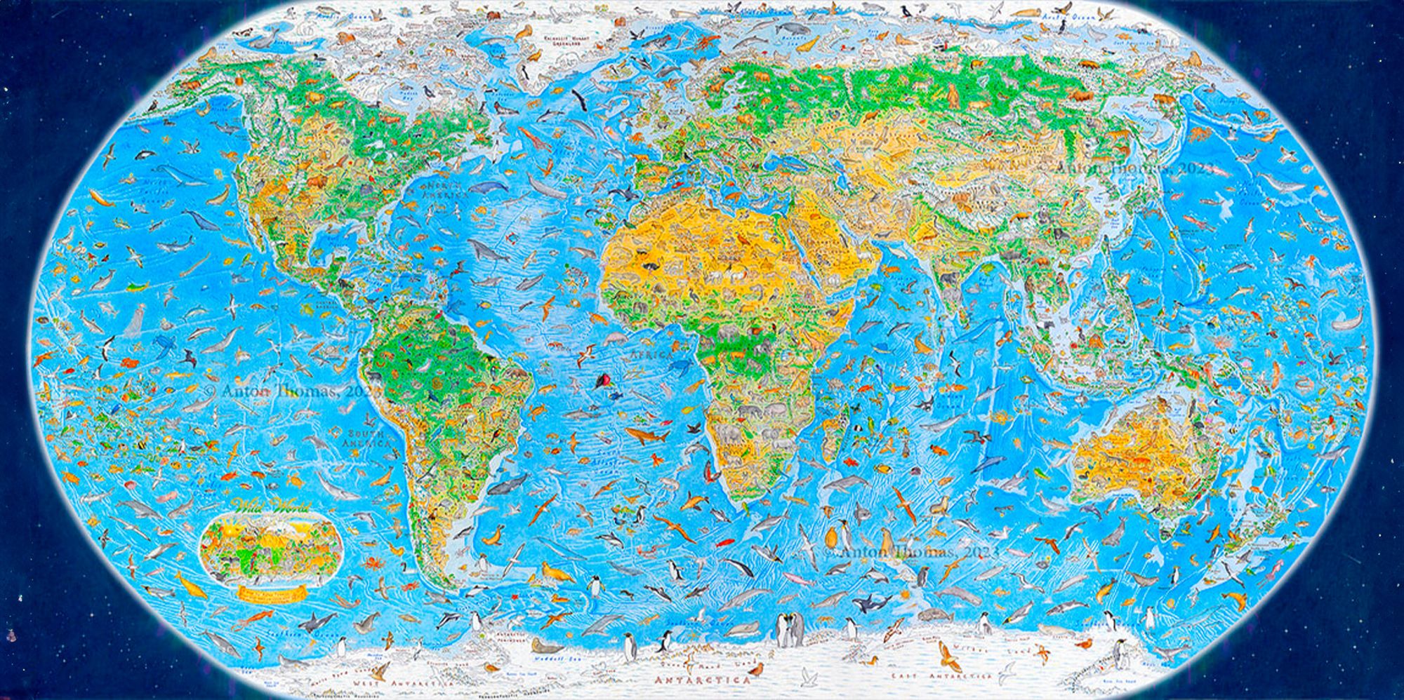 World Map of Wild Wonders | Domestika