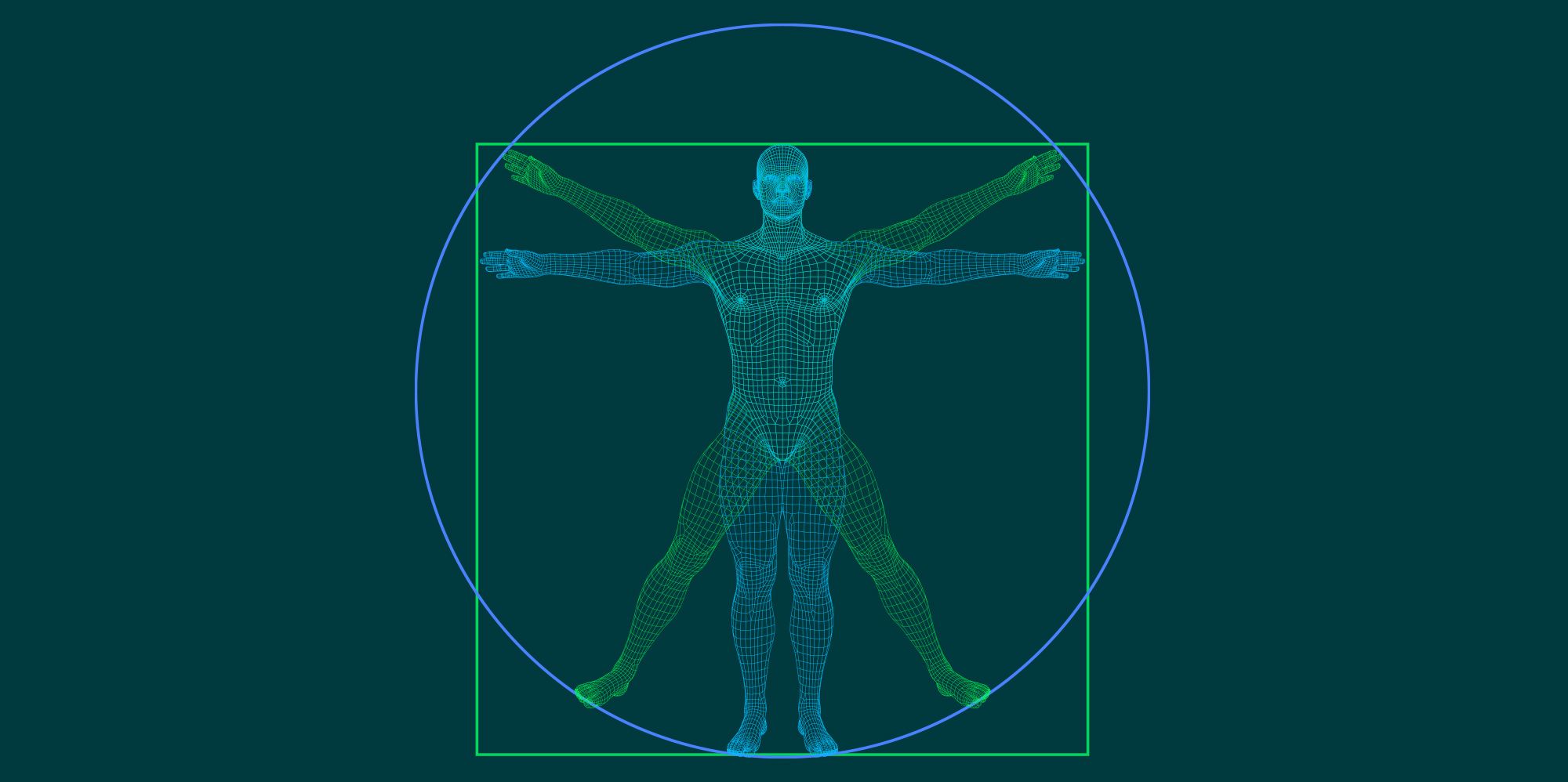 Free Download: Human Anatomy Fundamentals | Domestika