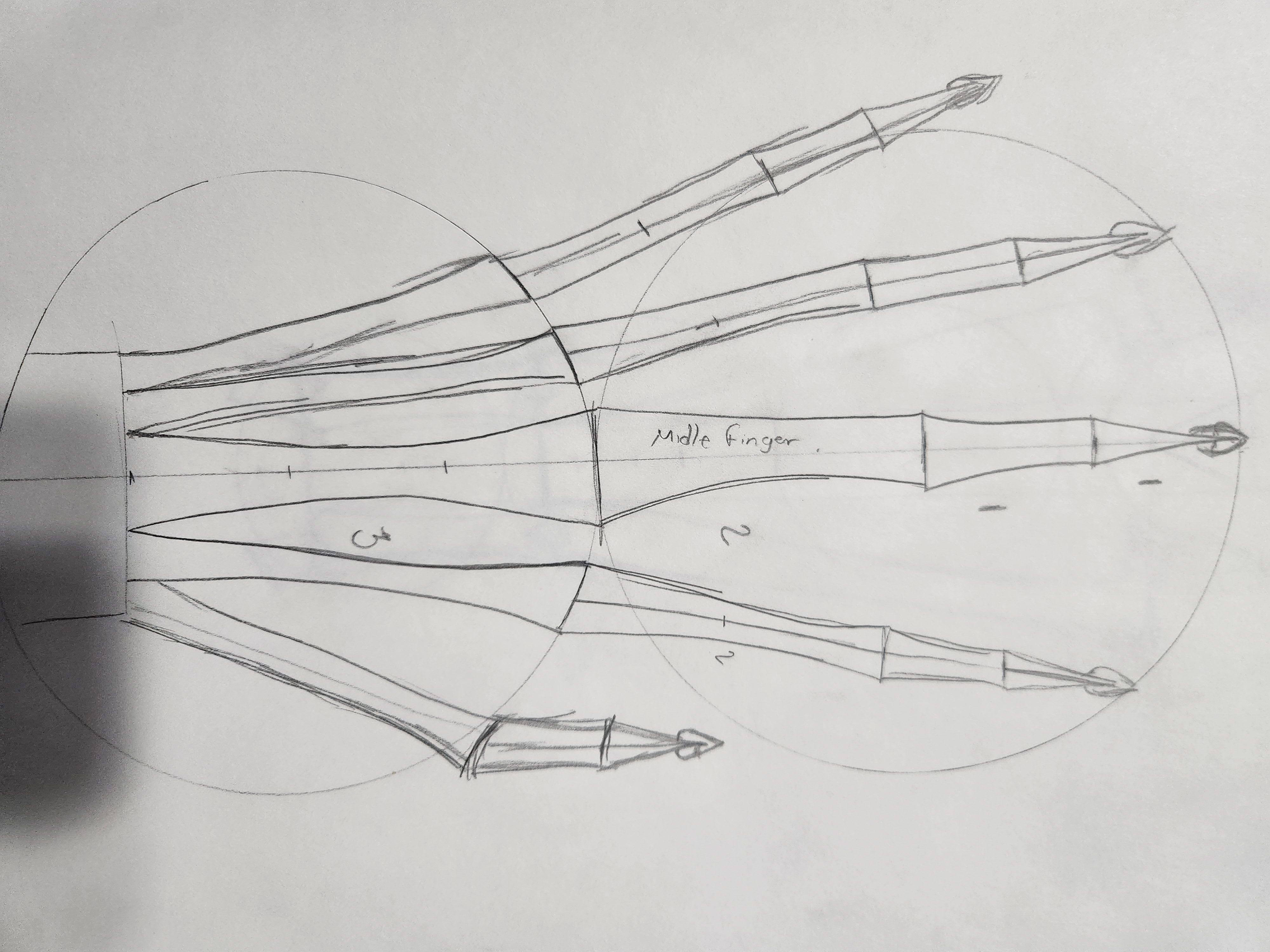My project for course: Figure Drawing for Beginners | Domestika