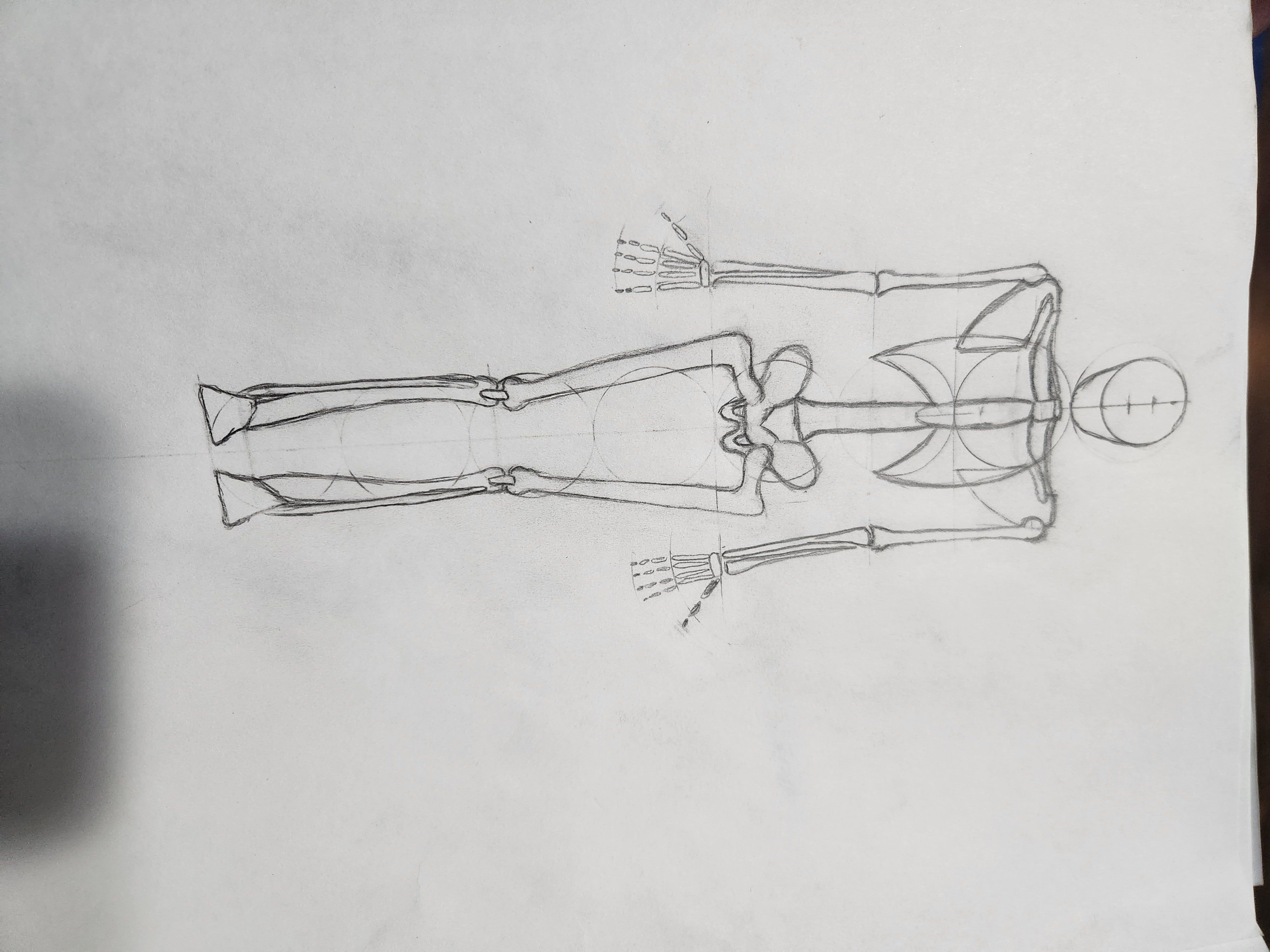 My project for course: Figure Drawing for Beginners | Domestika