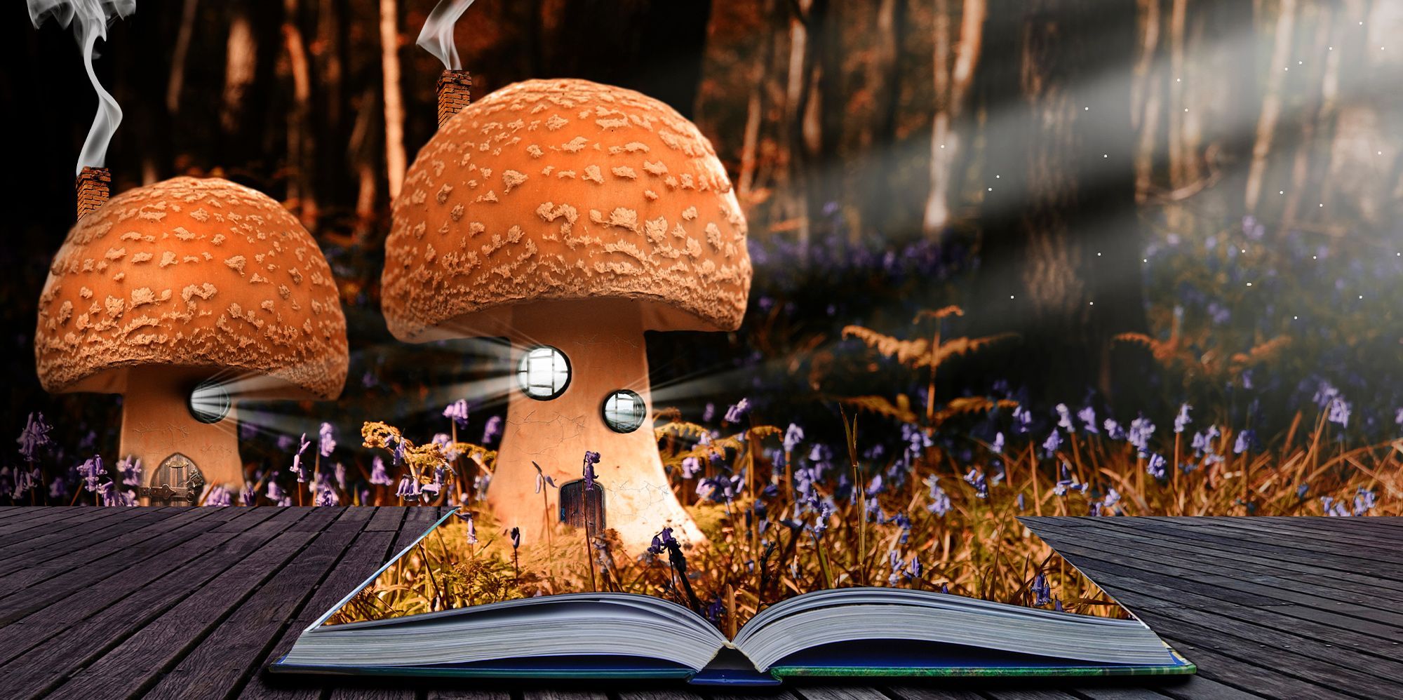 Tipos de géneros literarios: ¿cuáles son? | Domestika