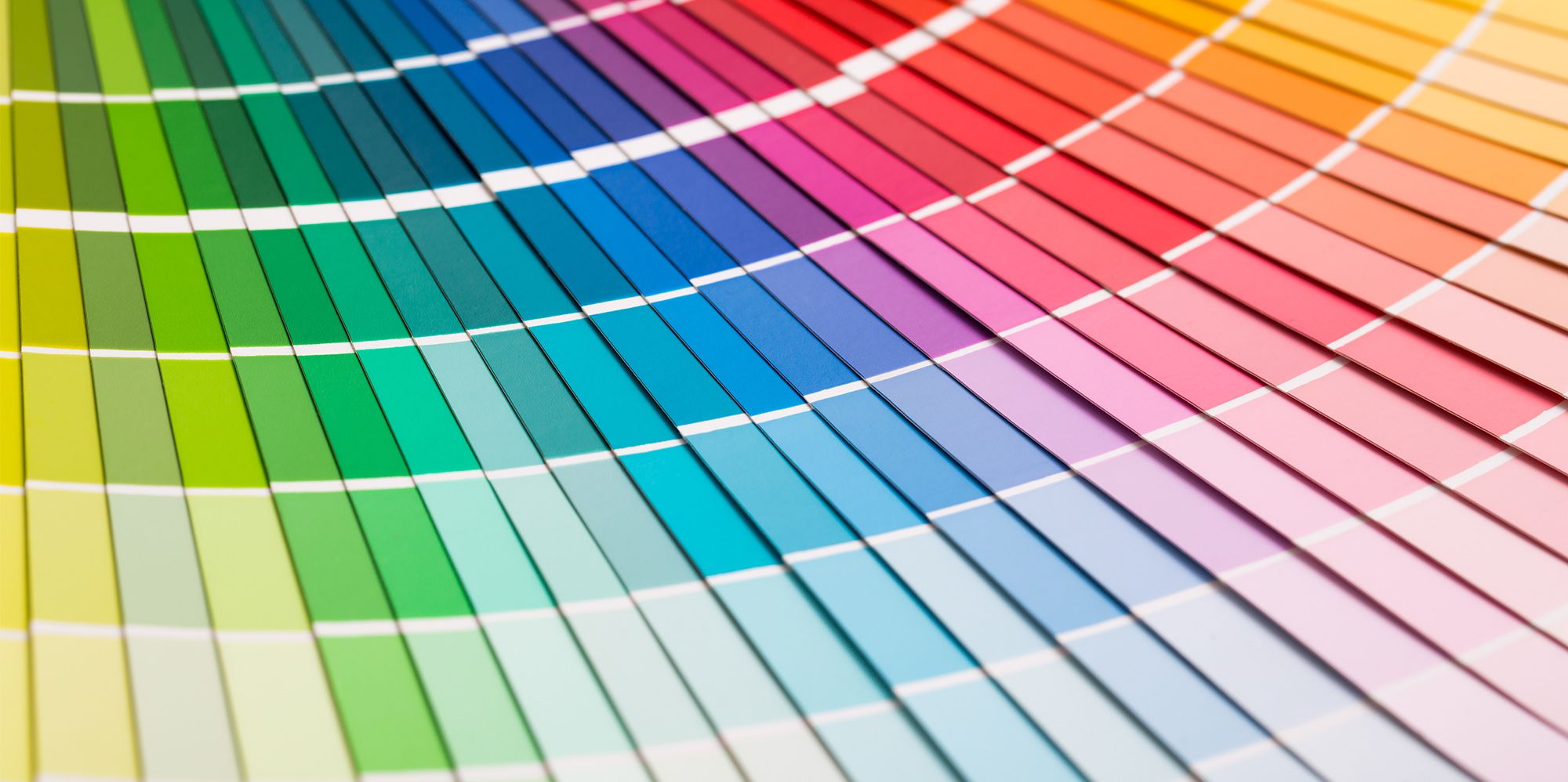 The 7 Main Graphic Elements | Domestika