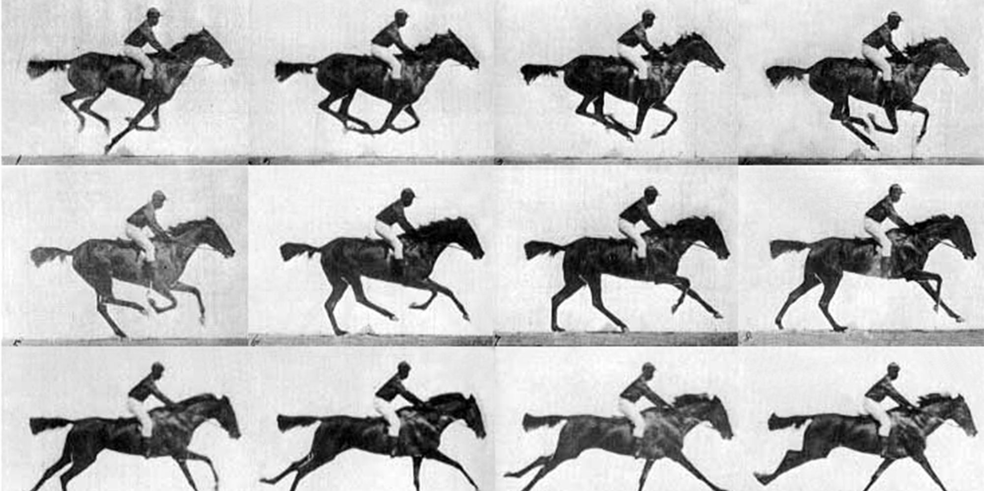 ¿Qué es un fotograma? Historia, tipos y usos | Domestika