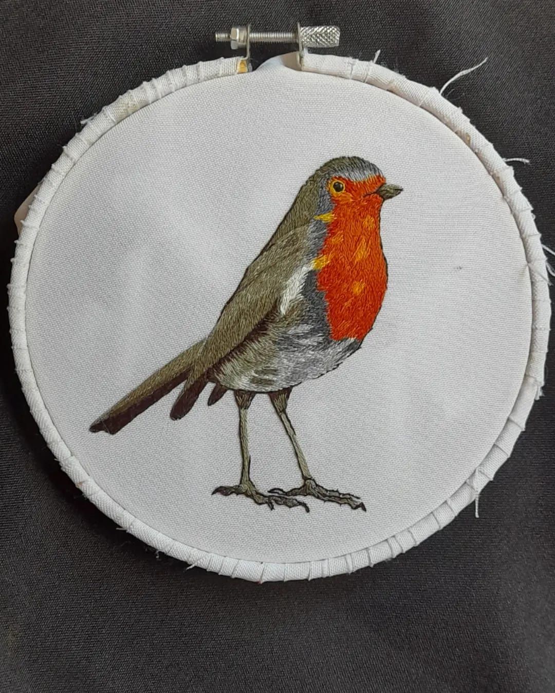 Mi proyecto del curso: Pintar con hilo: técnicas de ilustración textil ...