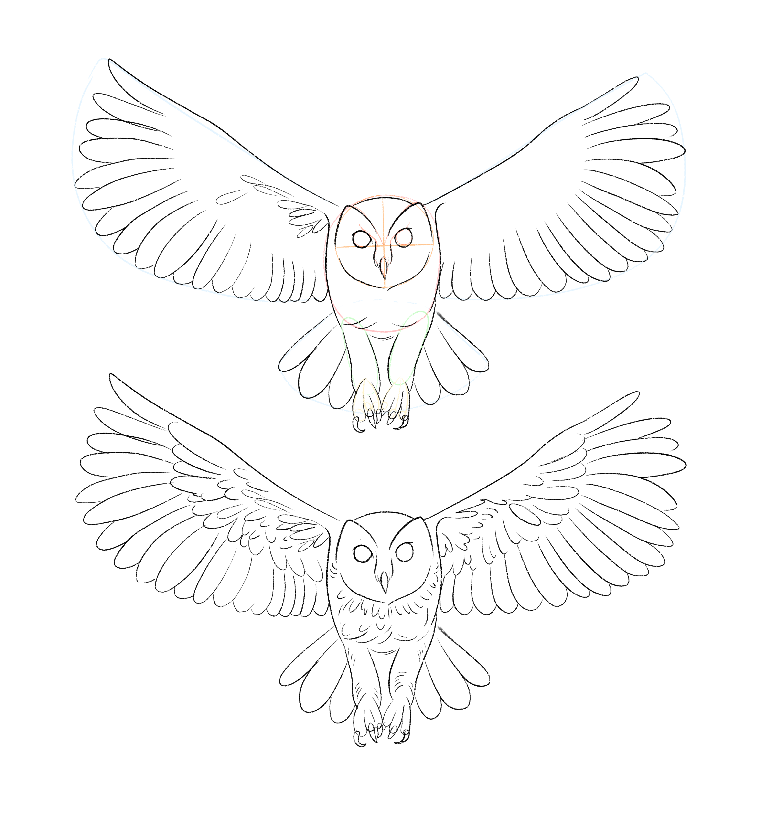 Free Tutorial: How to Draw an Owl | Domestika