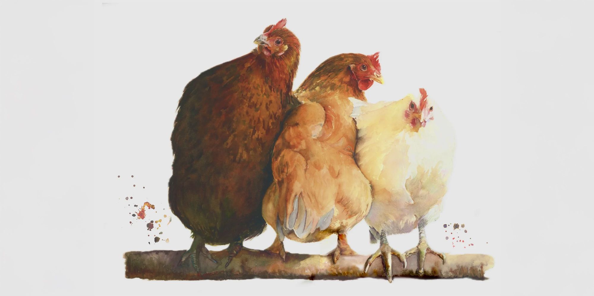 Los 5 mejores proyectos de la comunidad de Domestika en 2024 | Domestika