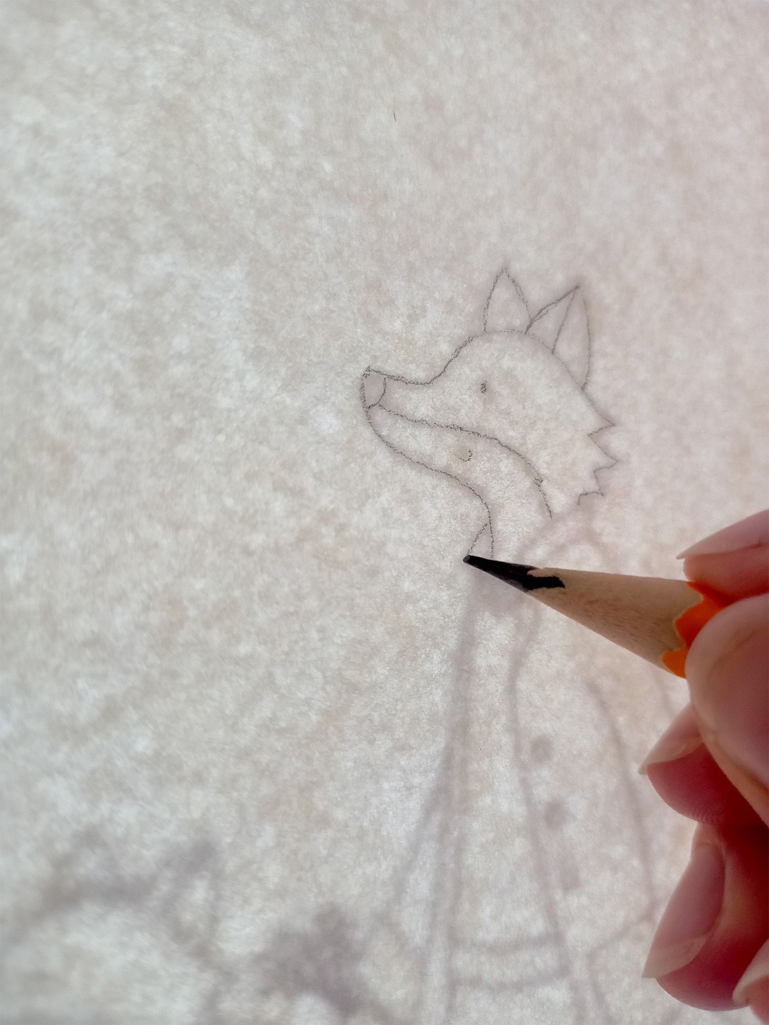 Fox family | Domestika