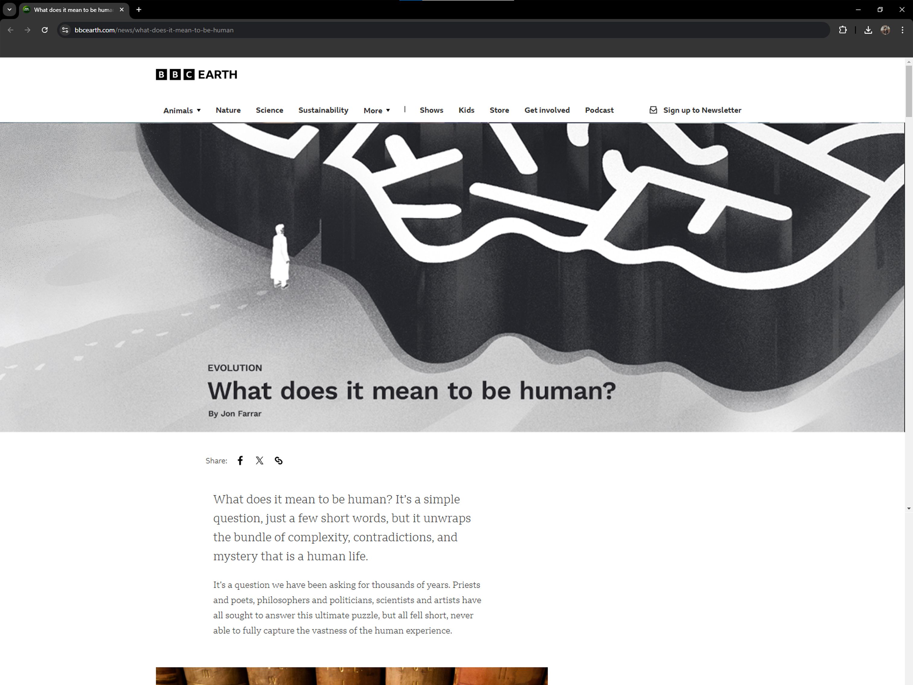 What Does It Mean To Be Human | Domestika