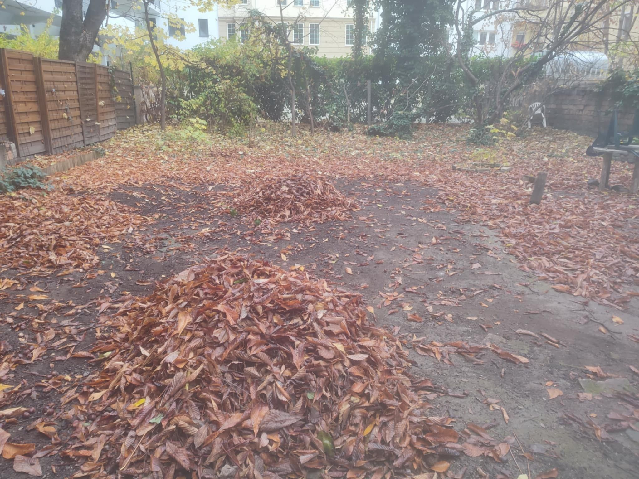 My first garden plan (or rather a yard) | Domestika