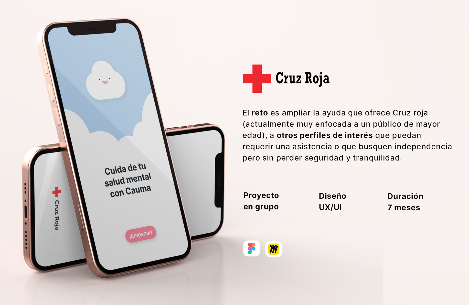Cruz Roja | UX/UI Case Study | Domestika