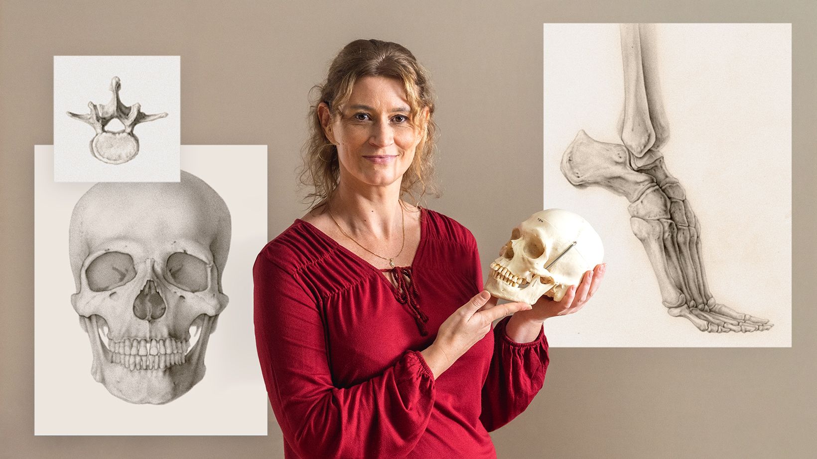 Online Course - Intro to Anatomy Drawing with Graphite Pencil (Ella ...