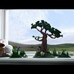 Online Course - Stop Motion: Frame by Frame Animation (Coke Riobóo y ...