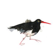 Online Course - Animal Illustration with Charcoal and Ink (Laura ...