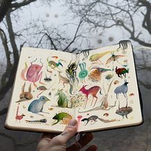 Online Course - Whimsical Sketchbook: Draw Imaginary Creatures from ...