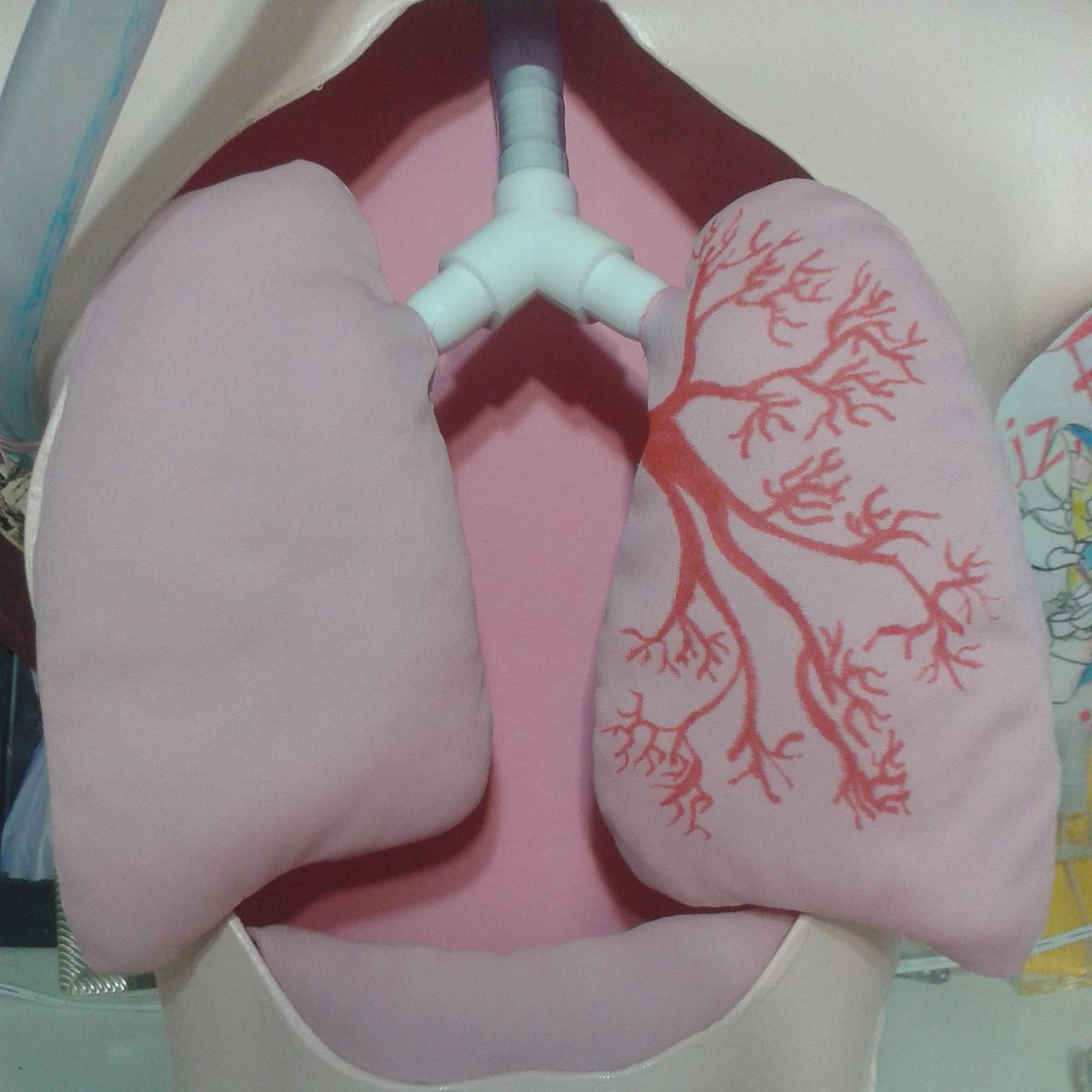 aparato respiratorio maqueta