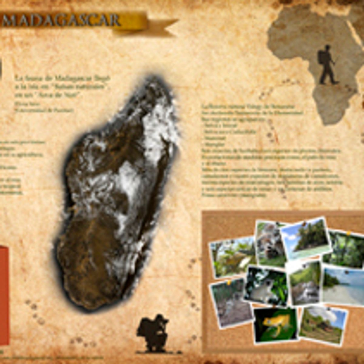 Infografía de Madagascar | Domestika