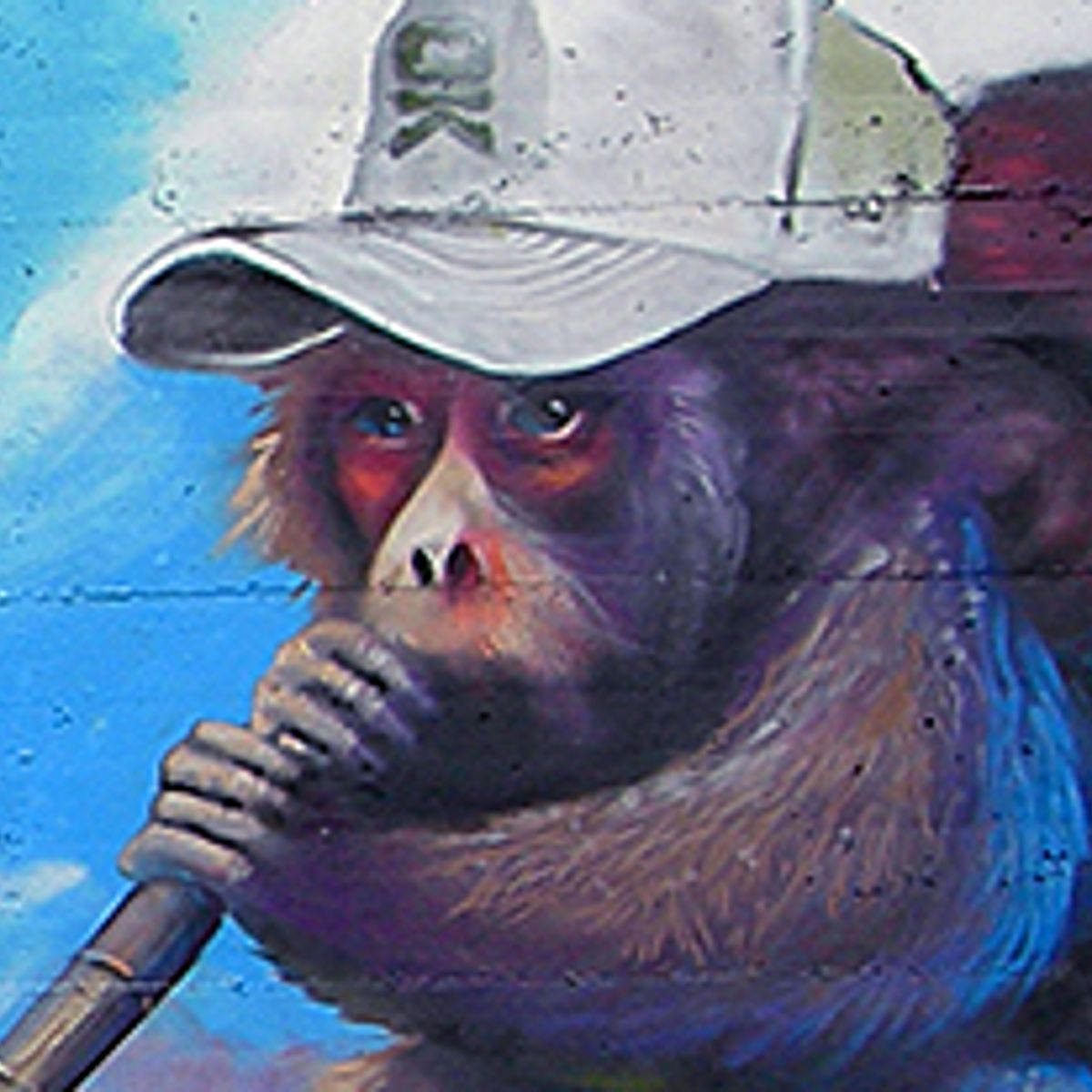 Graffiti | O.K. Monkey | Domestika