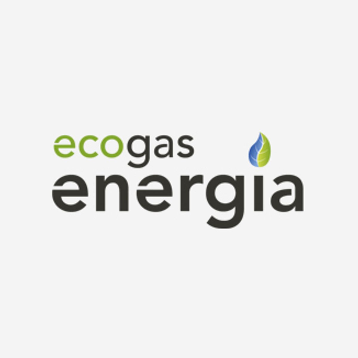 Diseño logo y web: Ecogas Energía | Domestika