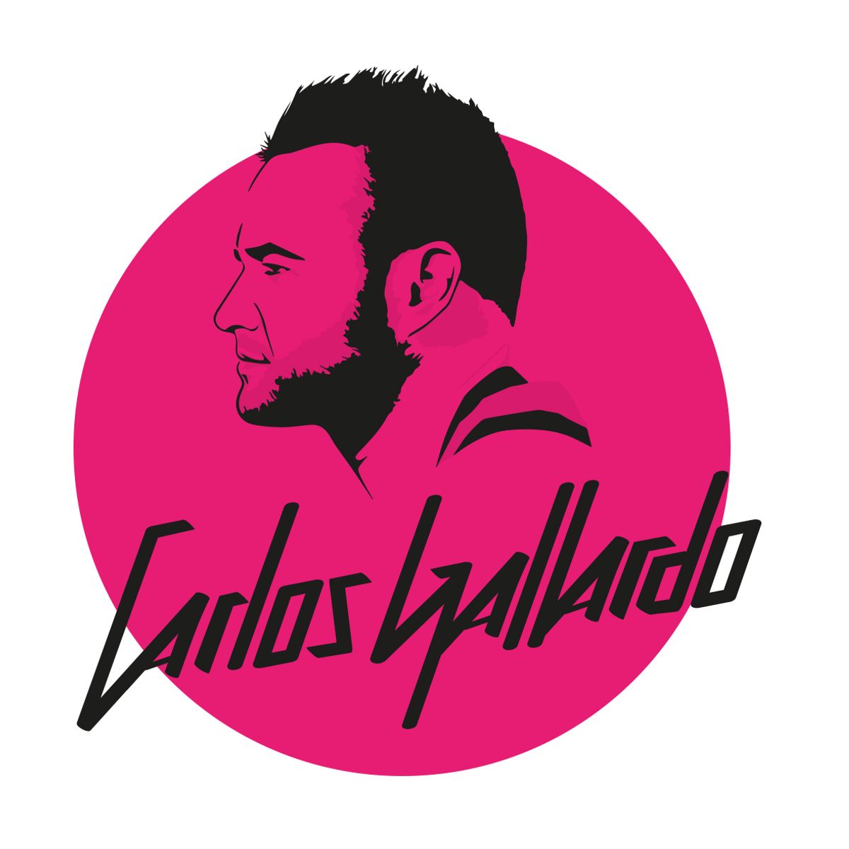 Carlos Gallardo | Domestika