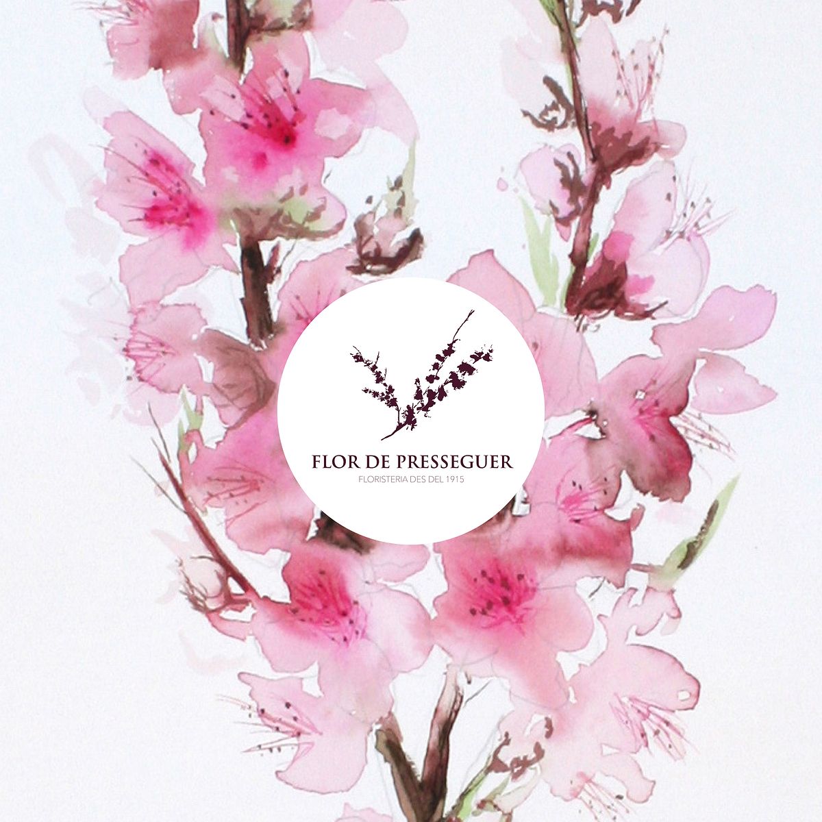 Flor de presseguer | Domestika