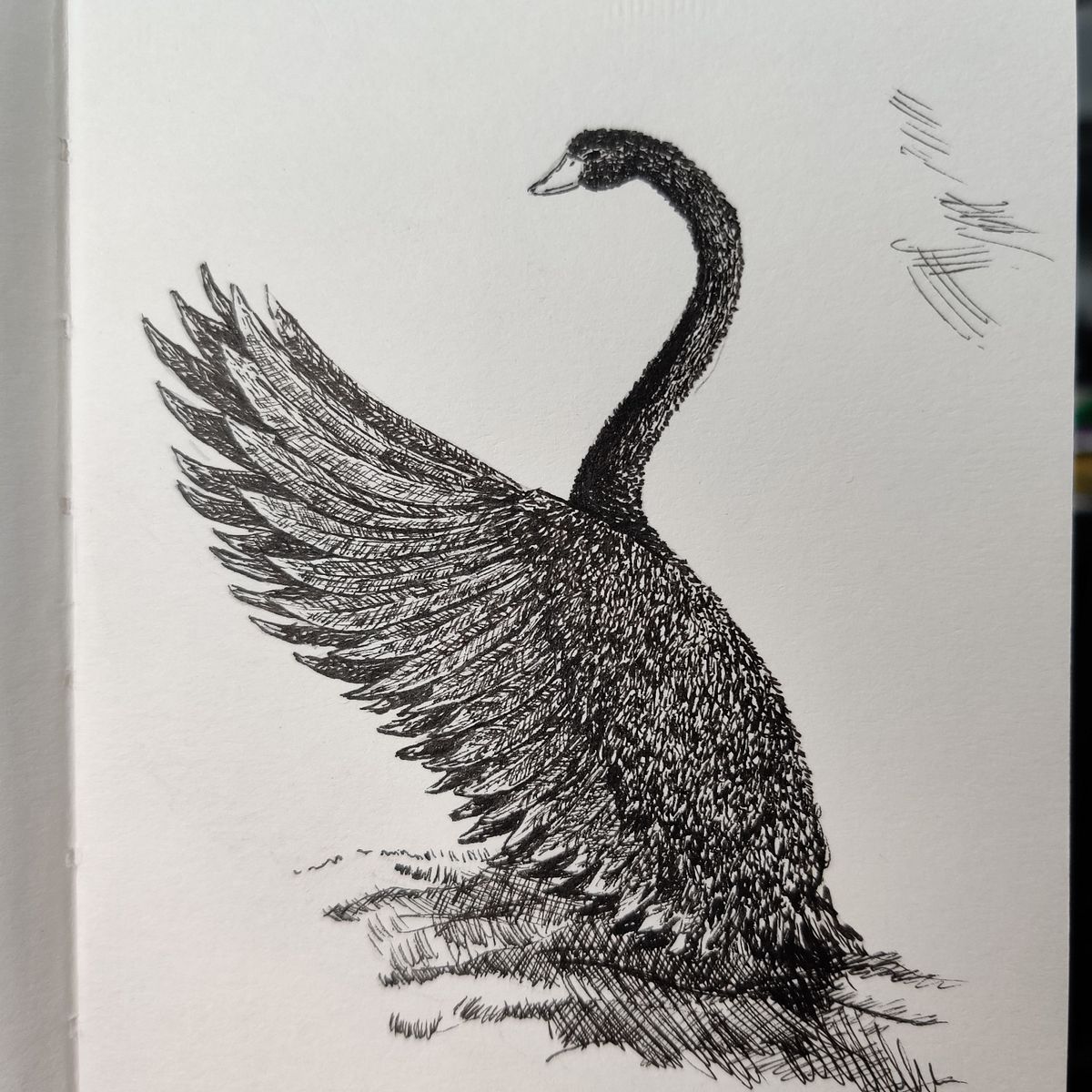 Pen Drawings | Domestika