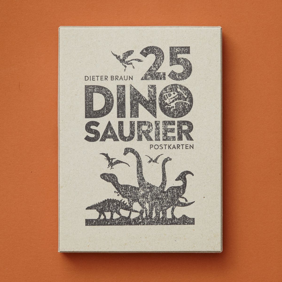25 dinosaur card box set | Domestika
