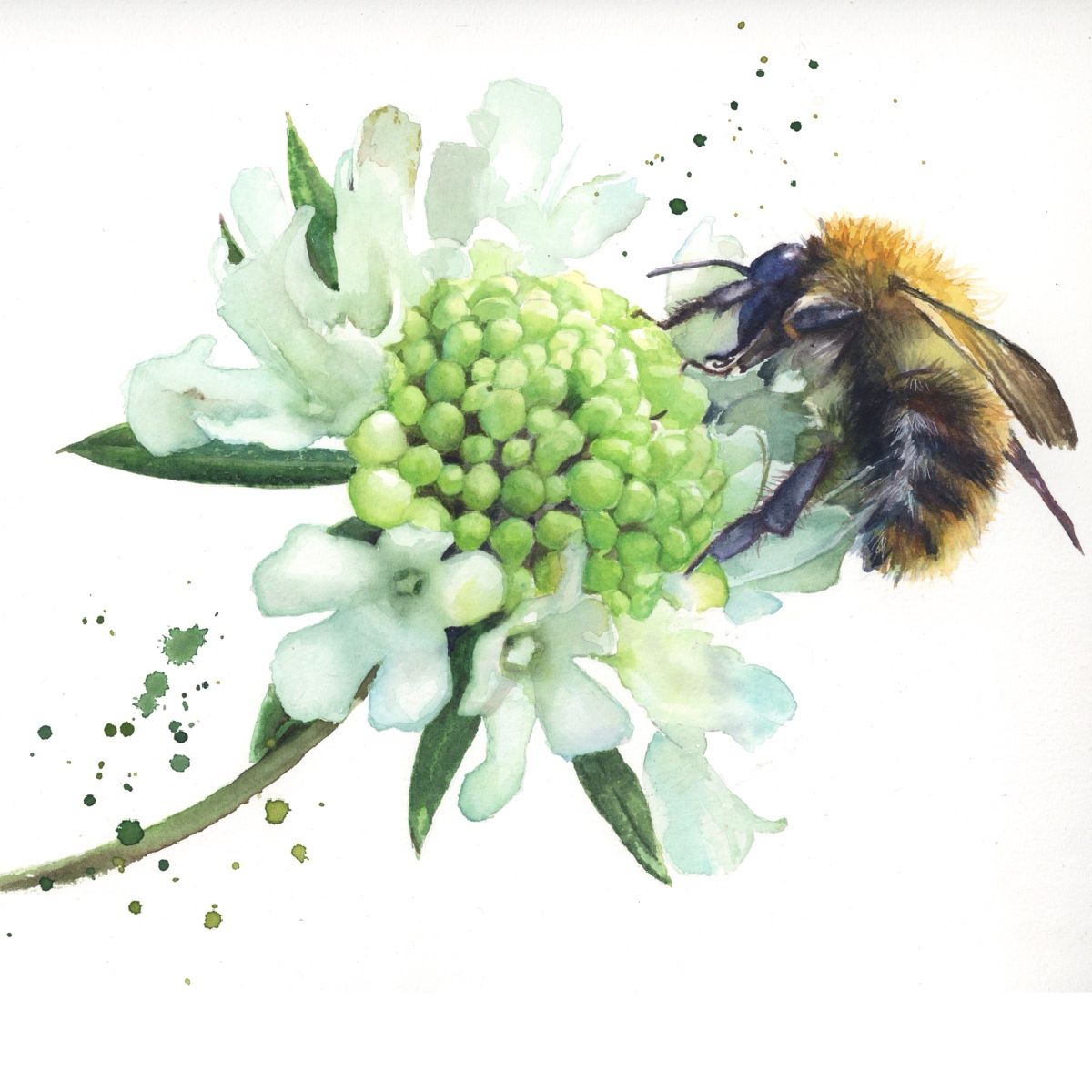 Watercolour bumble bee | Domestika