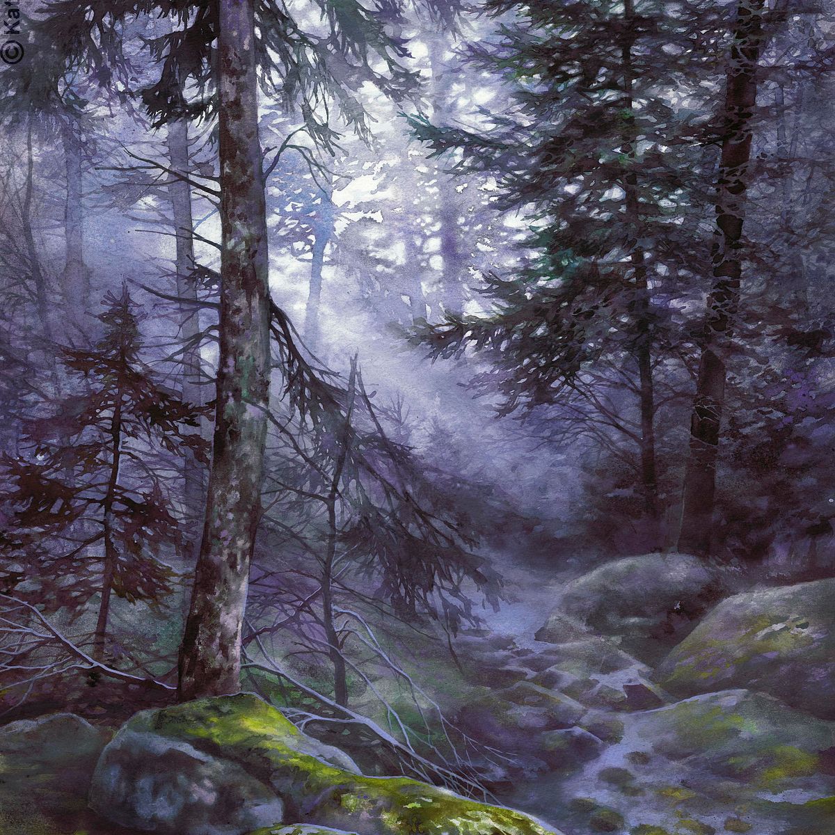 "Misty Forest" | Domestika