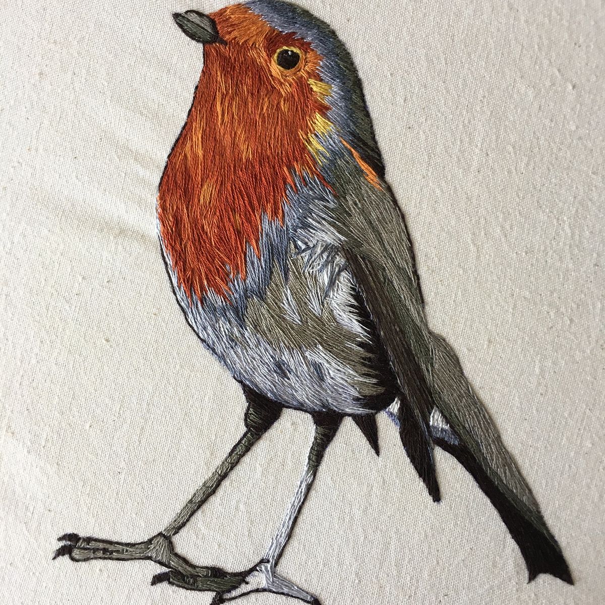 Mi Proyecto del curso: Pintar con hilo: técnicas de ilustración textil ...