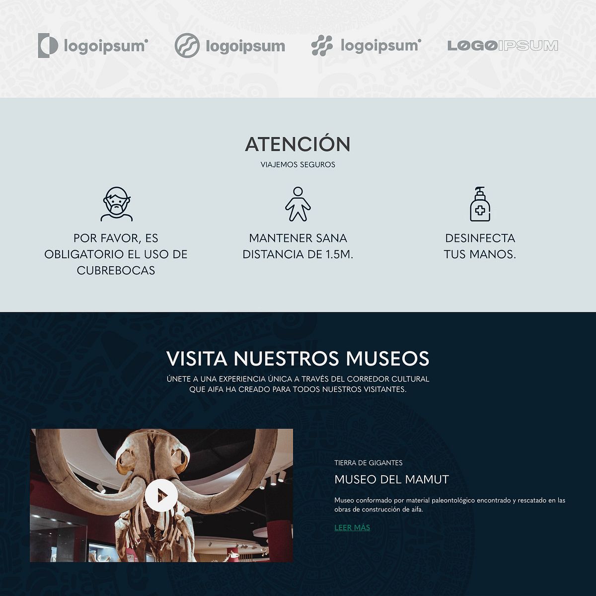 Rediseño del sitio web de el Aeropuerto Internacional Felipe Ángeles de ...