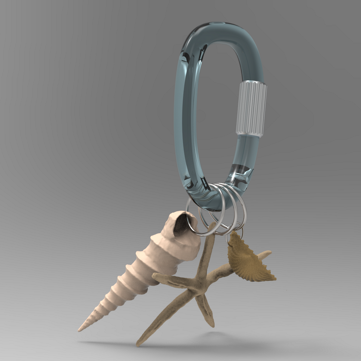 Seashell Carabiner - 3D Modelling Activity | Domestika