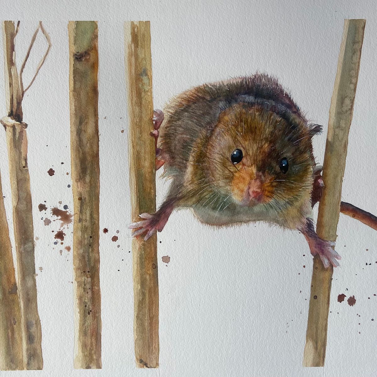 Watercolour mouse. | Domestika