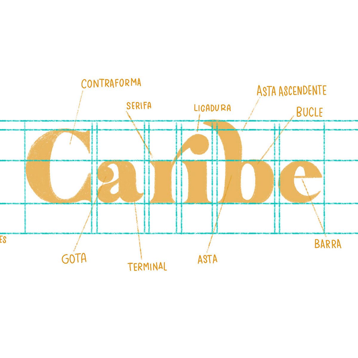 Typographic Anatomy: the Different Parts of a Letter | Domestika