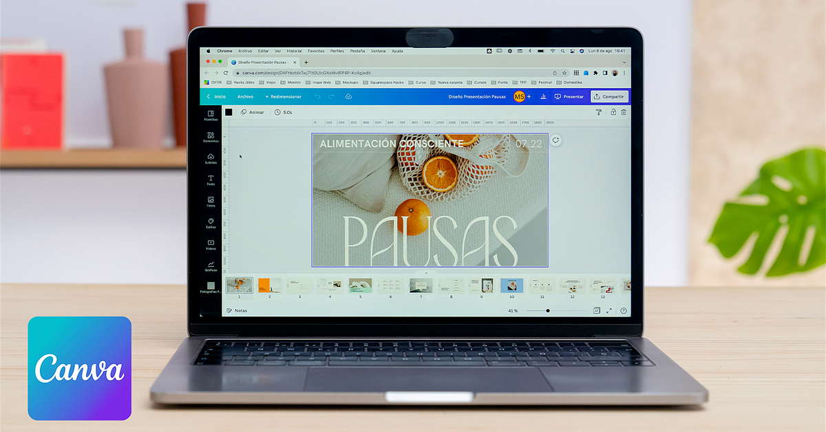Online Course - Presentation Design in Canva (Daniela Garza) | Domestika