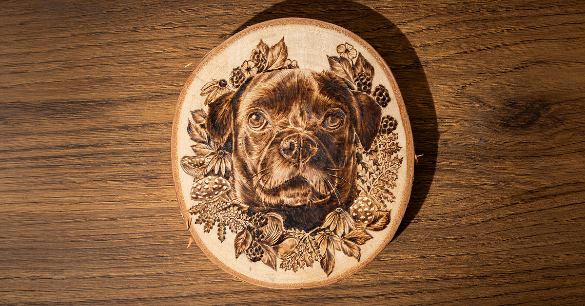 Lerne online "Erstellen atemberaubender Tierporträts mit Brandmalerei ...