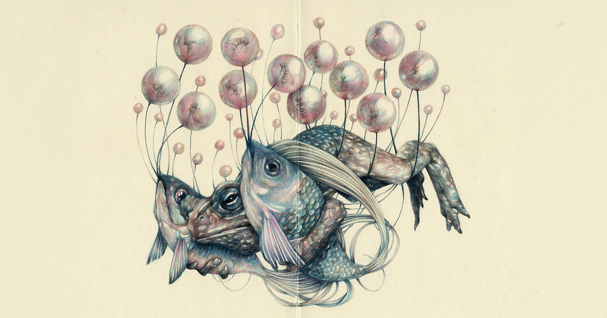 Curso online - Curso Guiado: Ilustre um rosto usando a técnica do claro ...