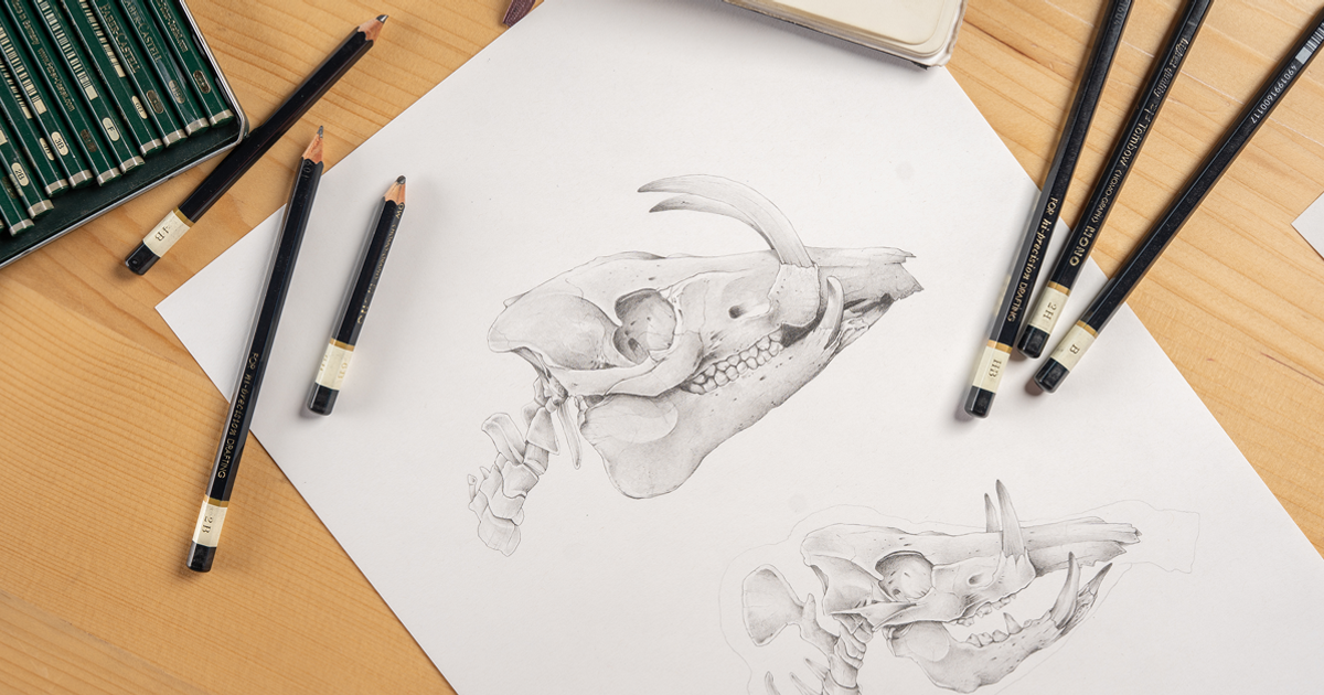 How to Preserve Pencil Drawings and Illustrations | Domestika