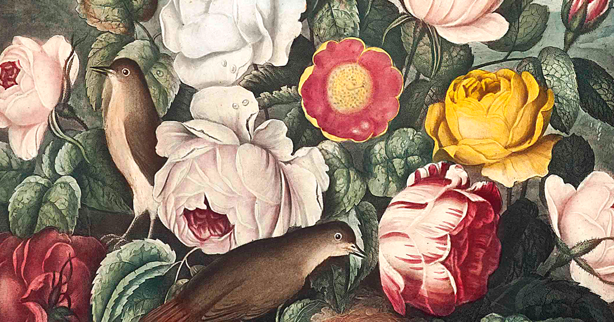 What Is Botany, and How Does It Inspire Creativity? | Domestika