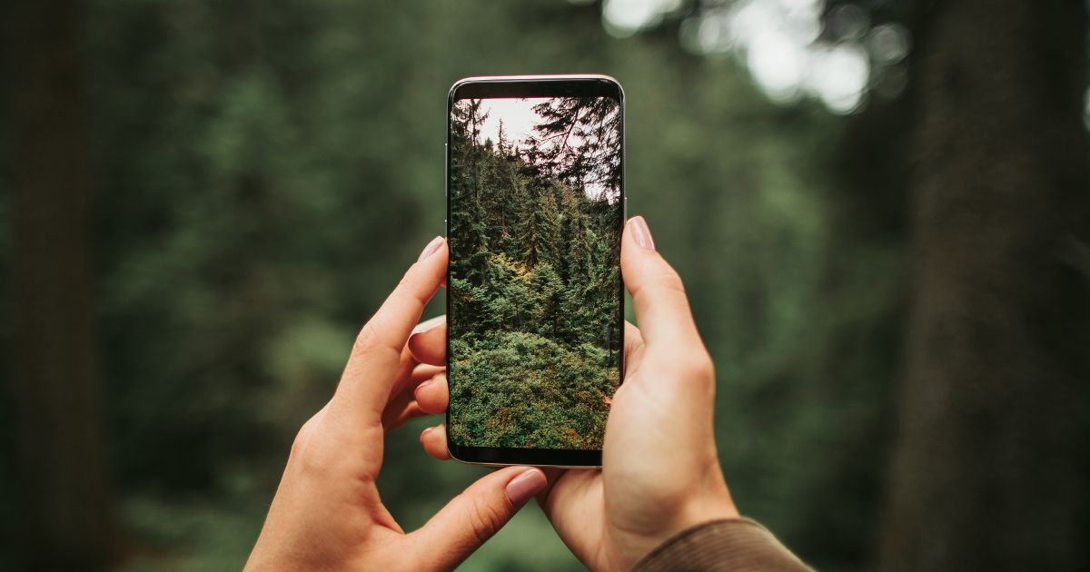 Mobile Photography Tutorial: 6 Tips for Taking Engaging Photos | Domestika